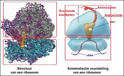 Mijmeringen: De serieuze kost – deel 2